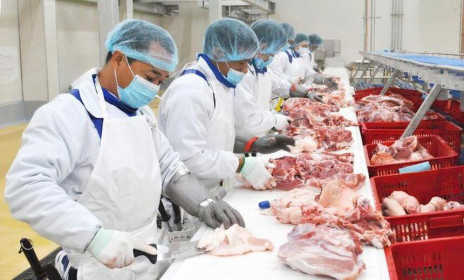 Nông nghiệp BaF Việt Nam (BAF) đầu tư 120 tỷ đồng thành lập BaF Meat ...